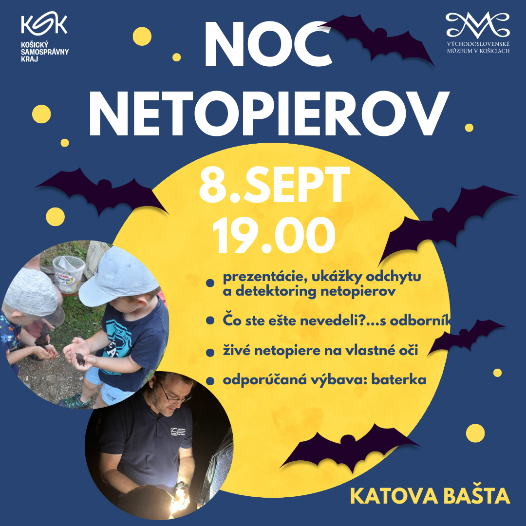 Noc netopierov | kamdomesta.sk